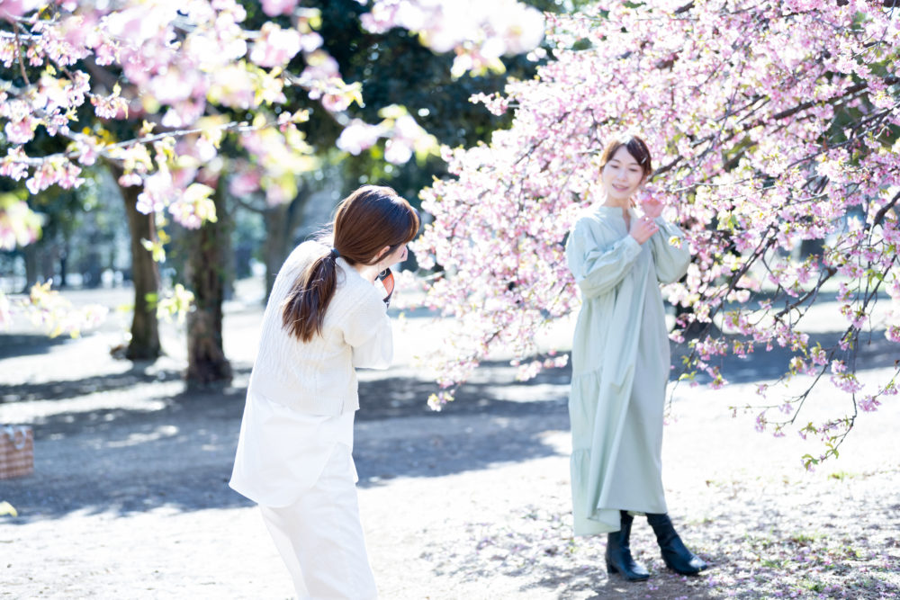 桜ポートレートの撮り方